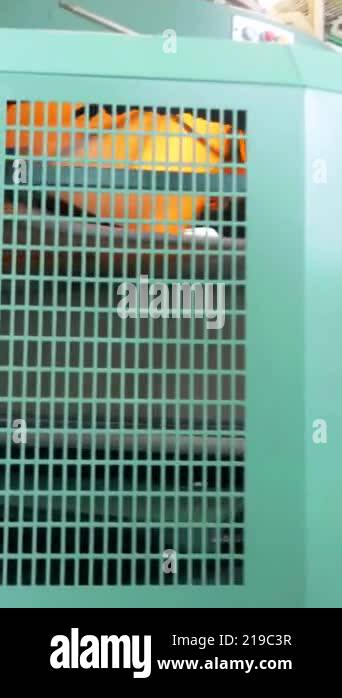 Vertical, Weaving of fabric on cars. Production of fabric from threads ...