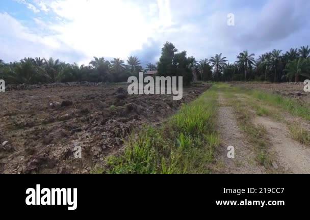 Time lapse scene of the blue sky with moving white clouds at the rural ...