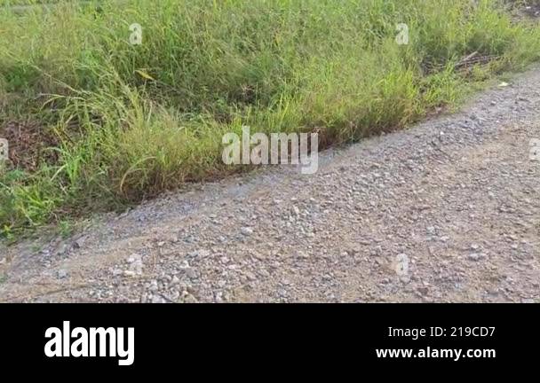 Groundwork of cement concrete with metal reinforced frame or block on ...