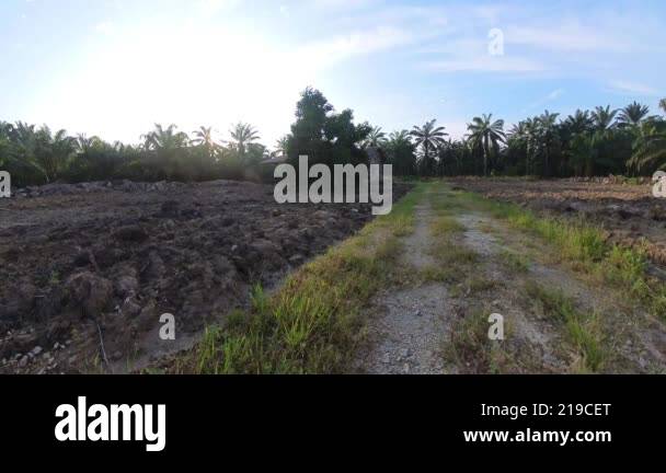 Time lapse scene of the blue sky with moving white clouds at the rural ...