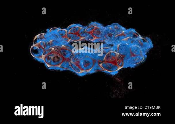 Glowing Ornate Ring with Particles Flowing Away Stock Video Footage - Alamy