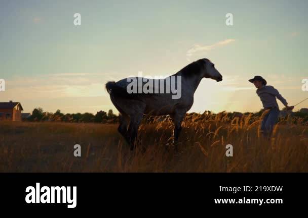 Adult male cowboy Stock Videos & Footage - HD and 4K Video Clips - Alamy