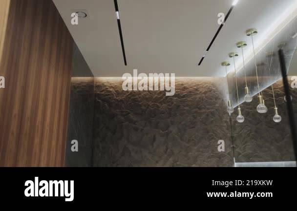 The contemporary ceiling design is characterized by its ambient ...