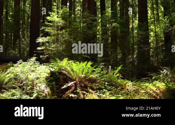 3d Hud Arc Offset A Blinking Red X60 Degrees Vj Loop Animation 02 Stock