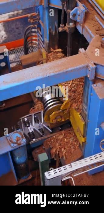 Sawmill. Process of machining logs in a machine different view closeup ...
