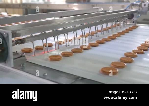 Industrial food factory or bakery, cookies on automated production line ...