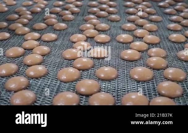 Industrial food factory or bakery, cookies on automated production line ...