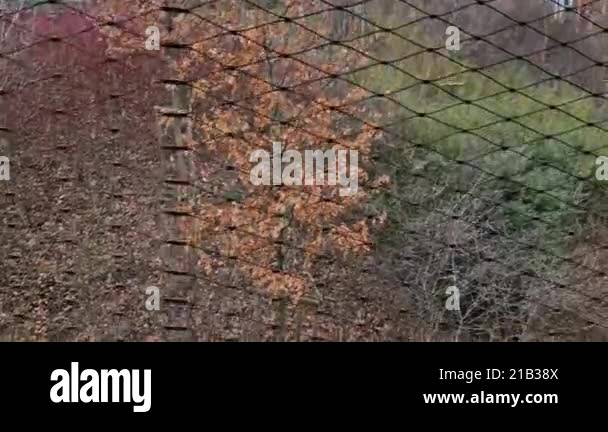 Terrace fencing, railings of metal pipes filled with steel cables cable ...