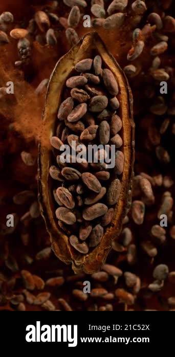 Cocoa fruit with cocoa beans exploding. Top view. Filmed on high speed ...