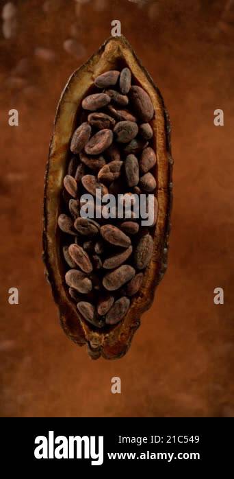 Cocoa fruit with cocoa beans exploding. Top view. Filmed on high speed ...