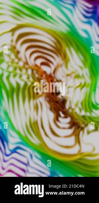 Vibrant Rainbow Flowing Sculpture on White Background Stock Video ...