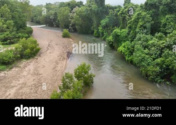 Creek with Clear Water and Small Rapids. High Quality 4K Foortage. High ...
