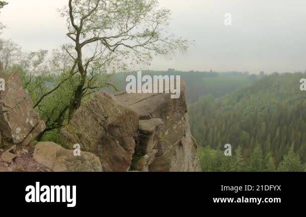 Panoramic shot of the Warche valley covered with green pine trees, huge ...