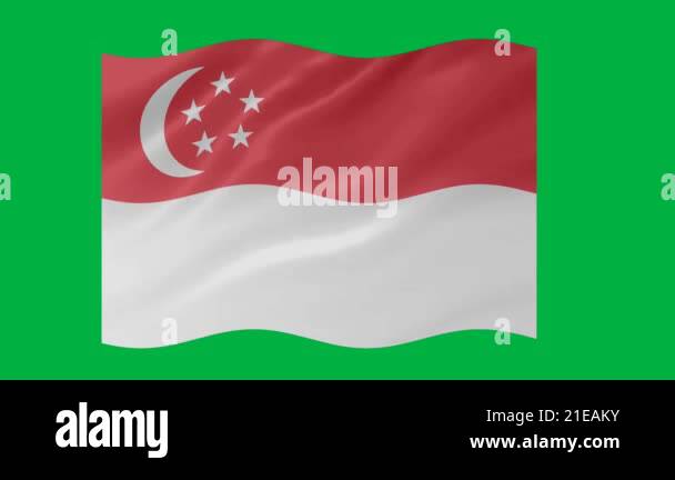 Singapore waving flag loop animation with glowing 3d shade isolated on ...