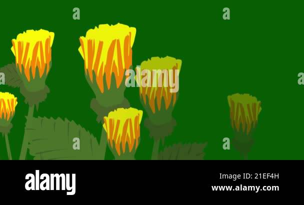 Flower Meadow with number 2025. Wildflower cartoon animation Stock ...