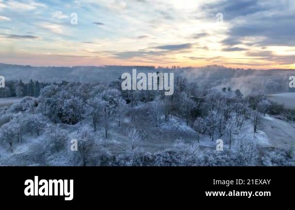 Smooth Crossing of Winter Snowy Dark Forest. Nature and Outdoor Aerial footage of Winter ...