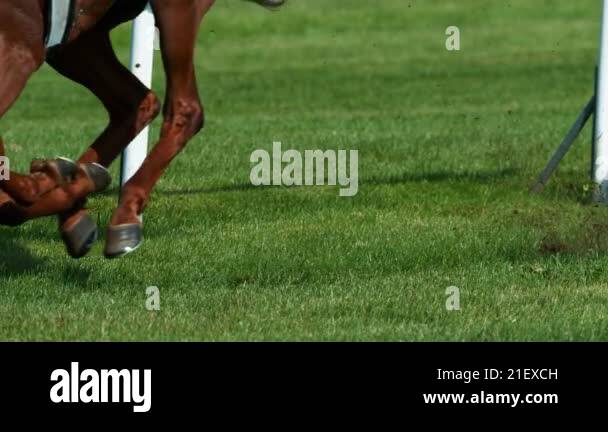Super Slow Motion of Running Horses on Derby. Closeup of Legs. Filmed ...
