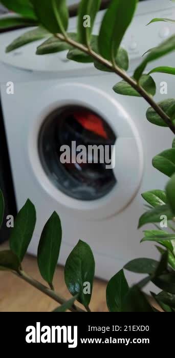 Dryers - comfort in drying clothes at home, drying clothes after ...