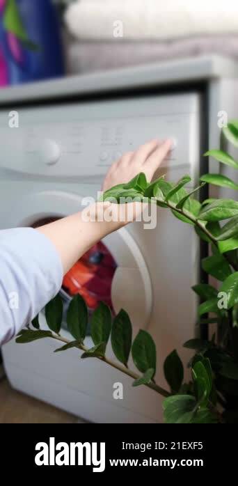Woman turning on washing machine, loading clothes for washing, concept ...