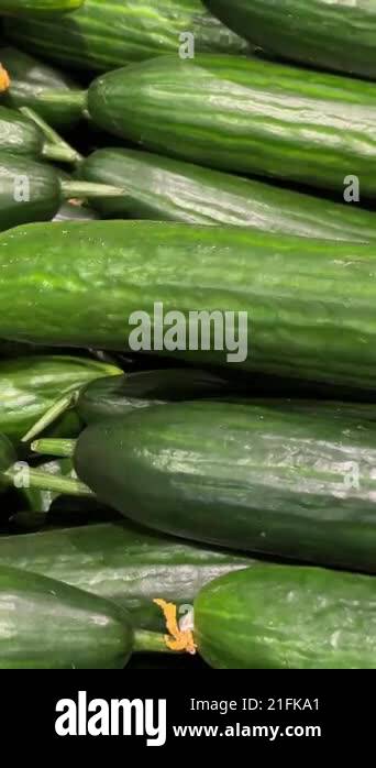 Carton Box with Fresh Green Cucumbers Vegetables. Fresh cucumbers in a ...