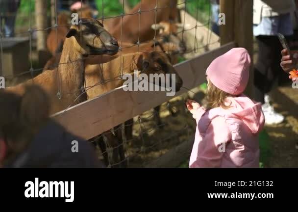 15 March 2023 Munich, Germany. Visitors feed and engage with Cameroon ...