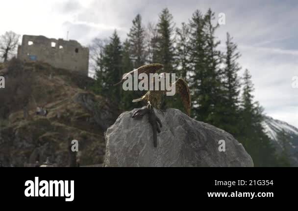 Fussen Germany. Burgruine Falkenstein Allgau bei Pfronten ruined ...
