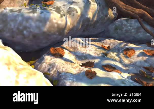 Megarian banded centipede, a striking arthropod with black and yellow ...