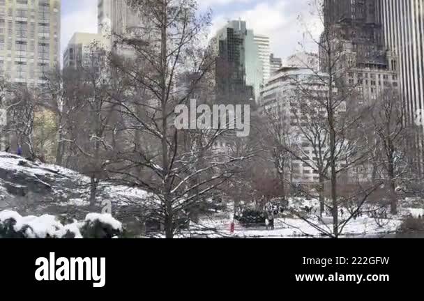 first day of winter with snowfall at central park. December 21, 2024 ...