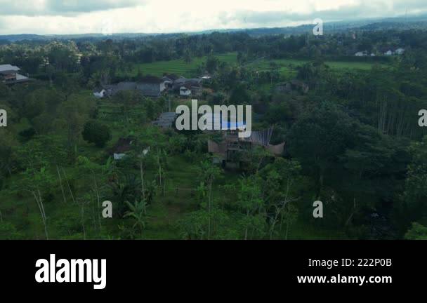 On the hilly terrain of the island of Java, in the green jungle there ...