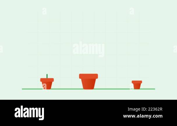 Money trees animation. Three planting pots and growing money. Growing ...