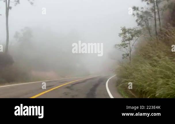 A winding road disappearing into dense fog, surrounded by tall pine trees and grasses, creating ...