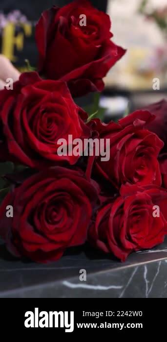 Close-up of red roses, showcasing vivid floral elegance and romantic ...