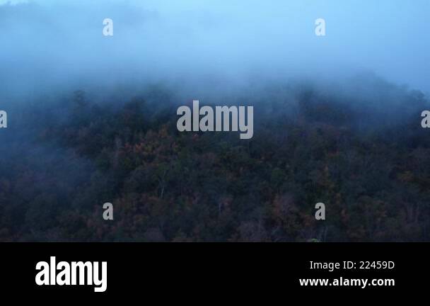 Aerial view of beautiful fog on the lake in the morning. Fresh early morning in the forest near ...