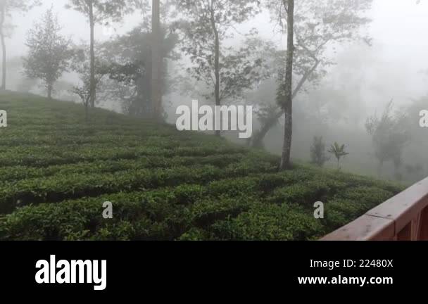 escape from the condition of the active crater containing boiling ...