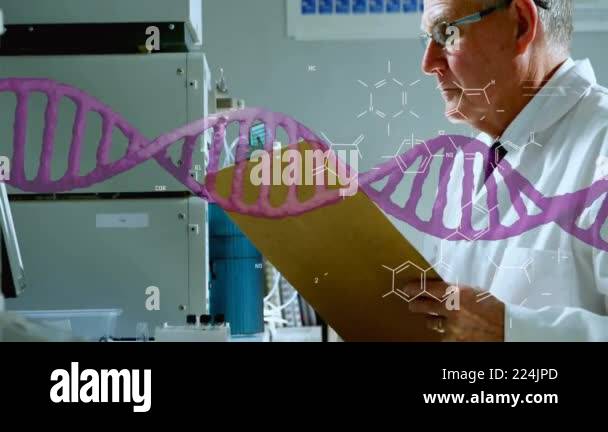 Animation of dna strand and chemical formula over caucasian male ...