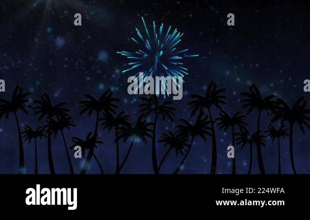 Fireworks animation over palm trees and starry night sky. celebration ...