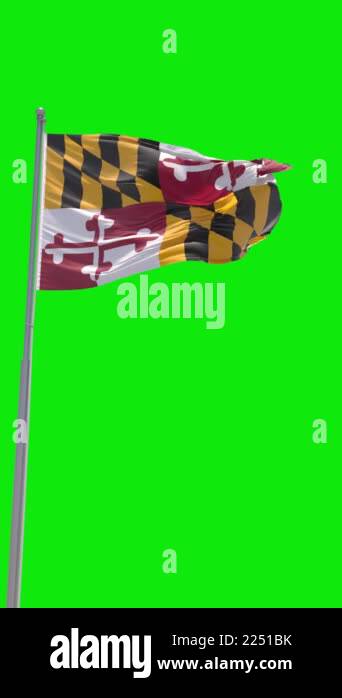 Maryland Flag USA on flagpole vertical Cinematic Realistic Motion ...
