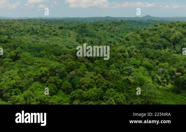 Beautiful aerial view of Tropical Mountain. Mindanao, Philippines Stock ...