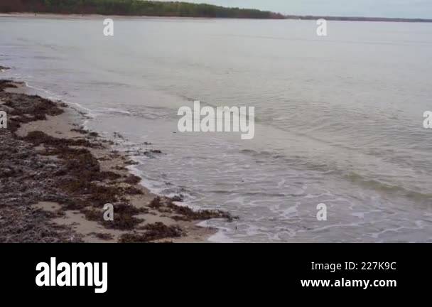 Waves at sea wash the shore, horizon visible in the distance, sea grass ...