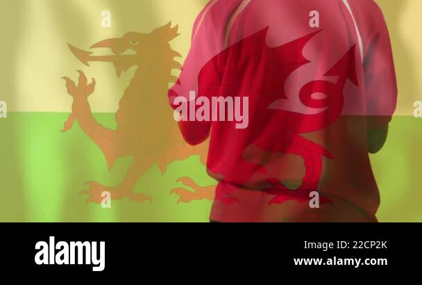 Animation of flag of wales over biracial female rugby player holding ...