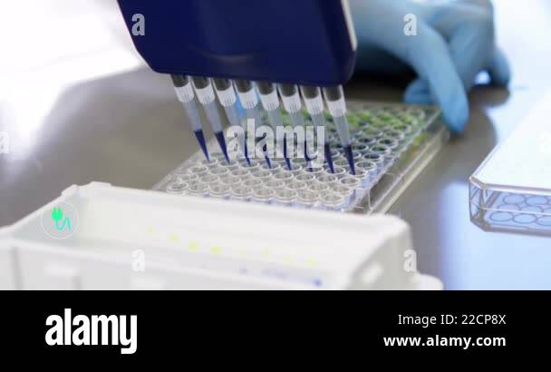 Animation of eco icons and data processing over scientist in laboratory ...