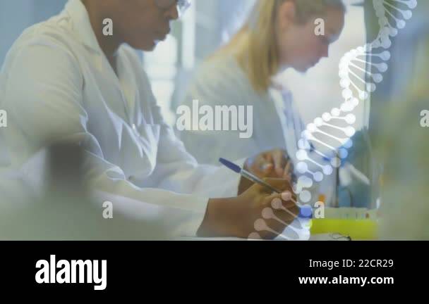 Scientists laboratory genetics Stock Videos & Footage - HD and 4K Video ...