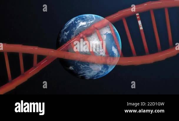 Animation of red dna strand with glowing light trails spinning over ...