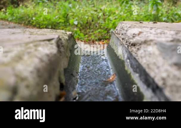 Flowing water through drainage channel in natural setting. Water moves ...
