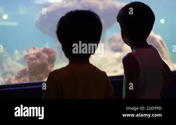 Captivated children marvel at the vibrant underwater world within a ...