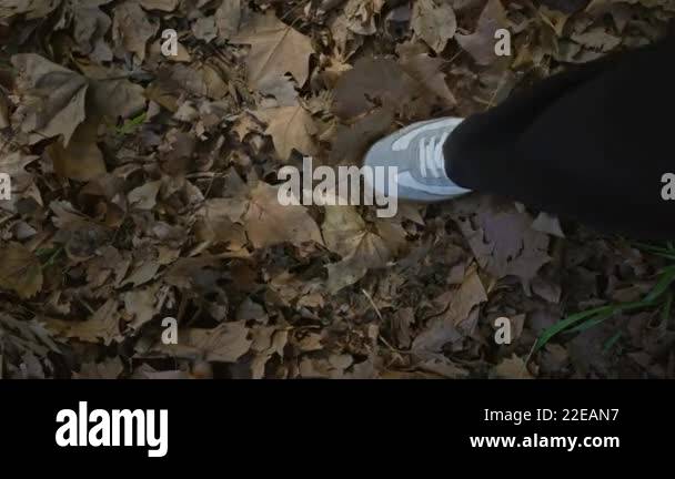 Woman stepping on dry autumn leaves outdoors with sneaker in a forest ...