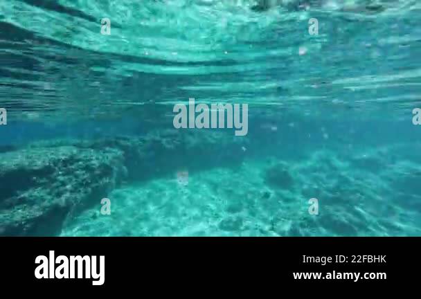 Underwater snorkelling cyprus fish and marine life blue azure waters ...