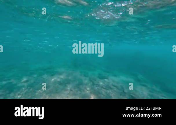 Underwater snorkelling cyprus fish and marine life blue azure waters ...