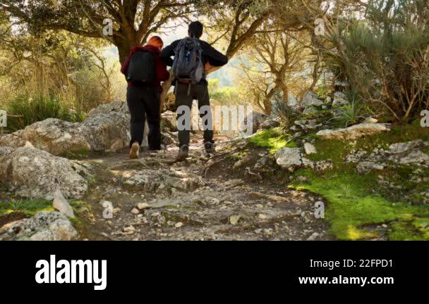 Hikers talking while climbing a mountain on a rocky path amidst trees ...