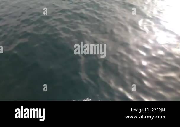 Dramatic Water Reflections and Sunlight Patterns Captured in High ...